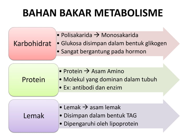 MATERI ATLM TEORI BIOKIMIA SEMESTER 3 2024 | PPT