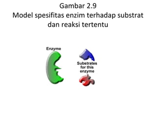Biokimia enzim | PPT