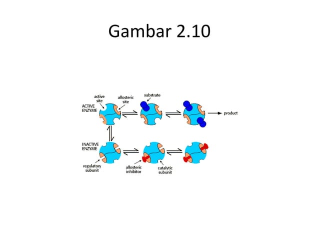 Biokimia enzim | PPT
