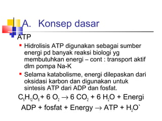 Biokimia fermentasi rev | PPT