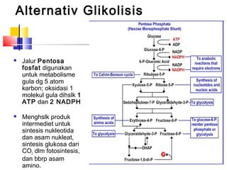 Biokimia fermentasi rev | PPT