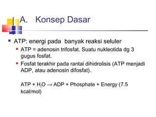 Biokimia fermentasi rev | PPT