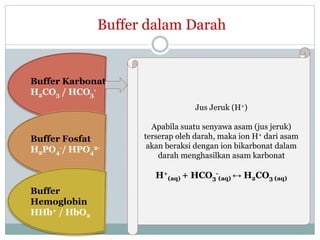 Biokimia I Air dan Buffer UHO | PPTX