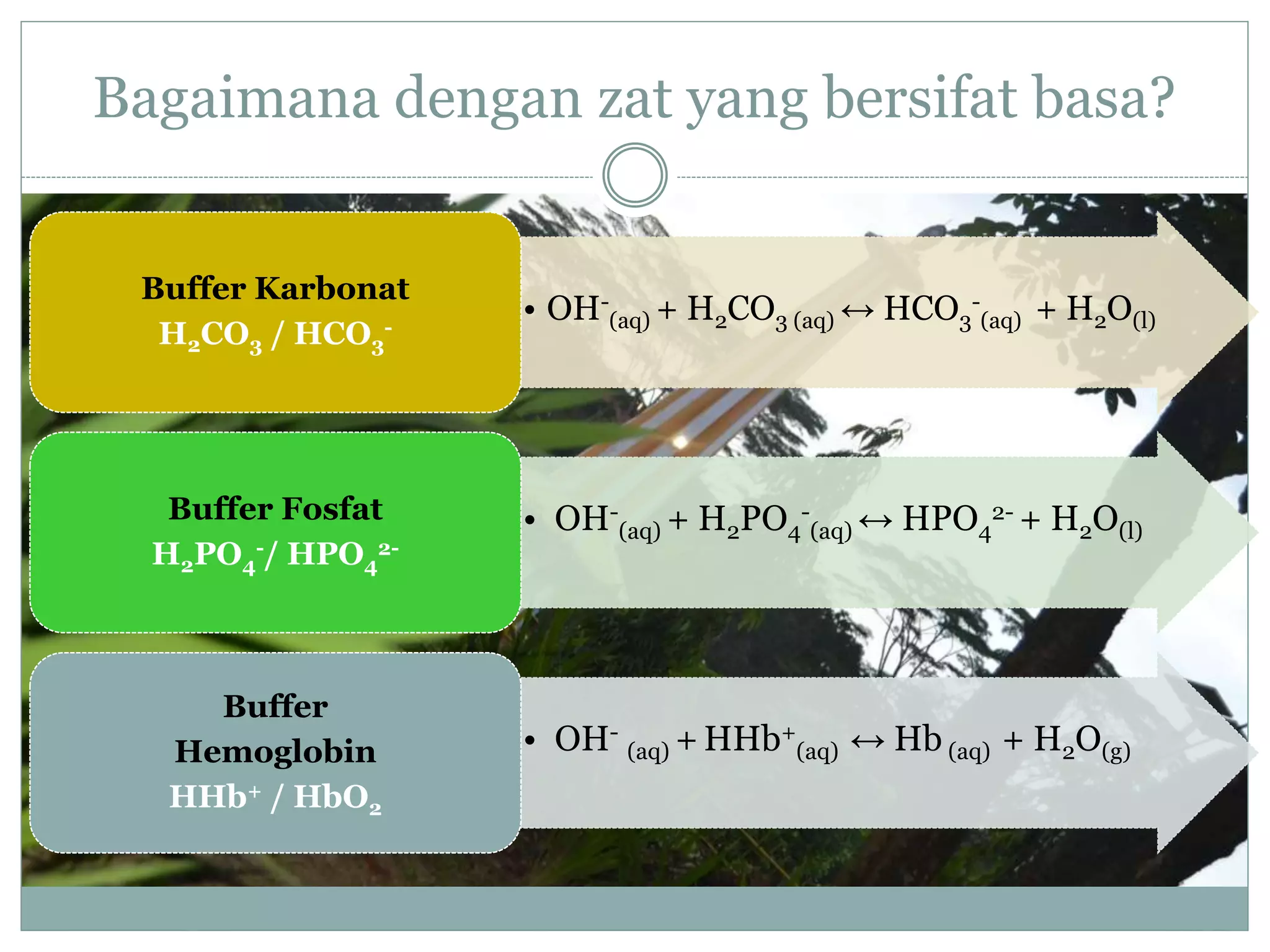Biokimia i air_buffer_014 | PPT