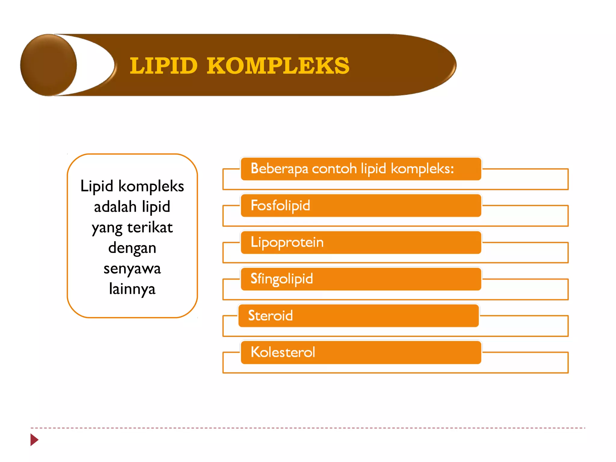 Biokimia i lipid | PPT