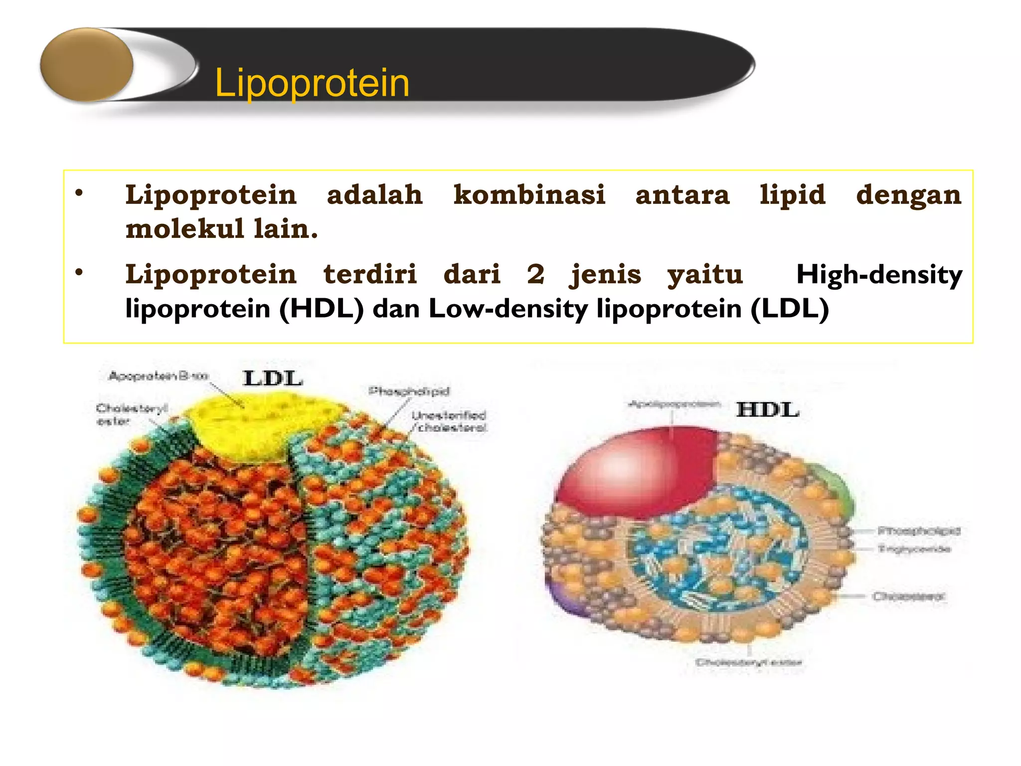 Biokimia i lipid | PPT
