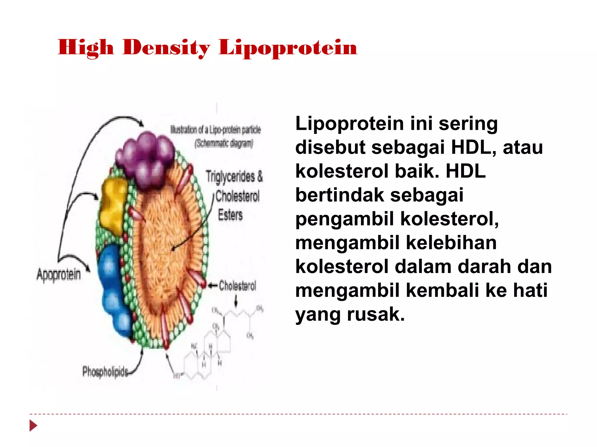Biokimia i lipid | PPT
