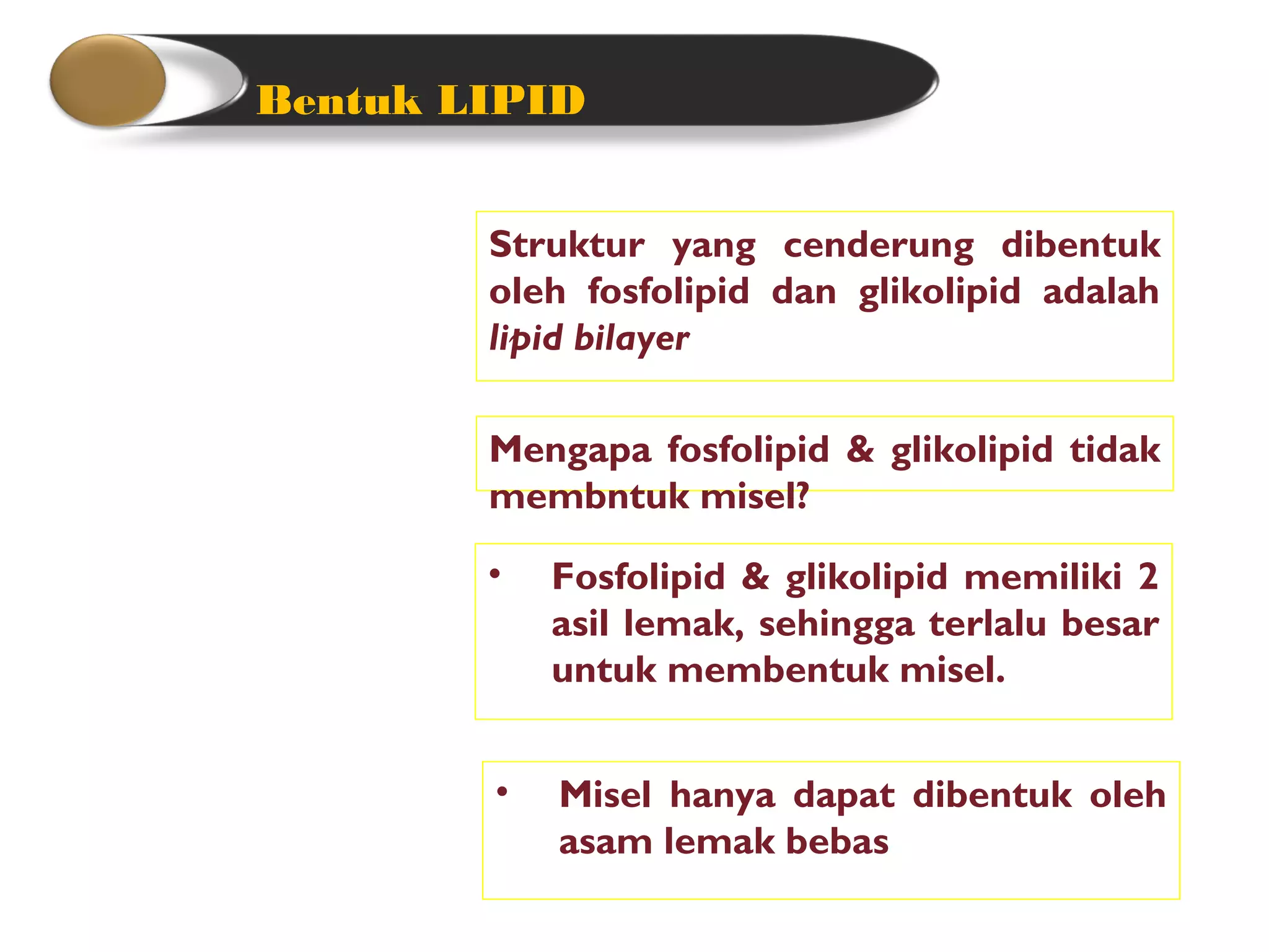 Biokimia i lipid | PPT