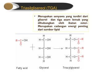 Biokimia i lipid | PPT