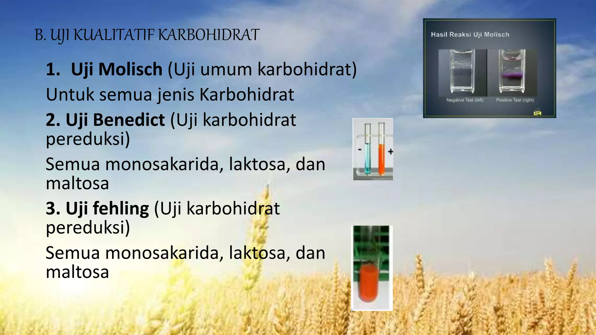 Karbohidrat (BIOKIMIA) | PPTX