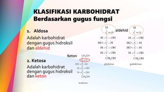 Karbohidrat (BIOKIMIA) | PPTX
