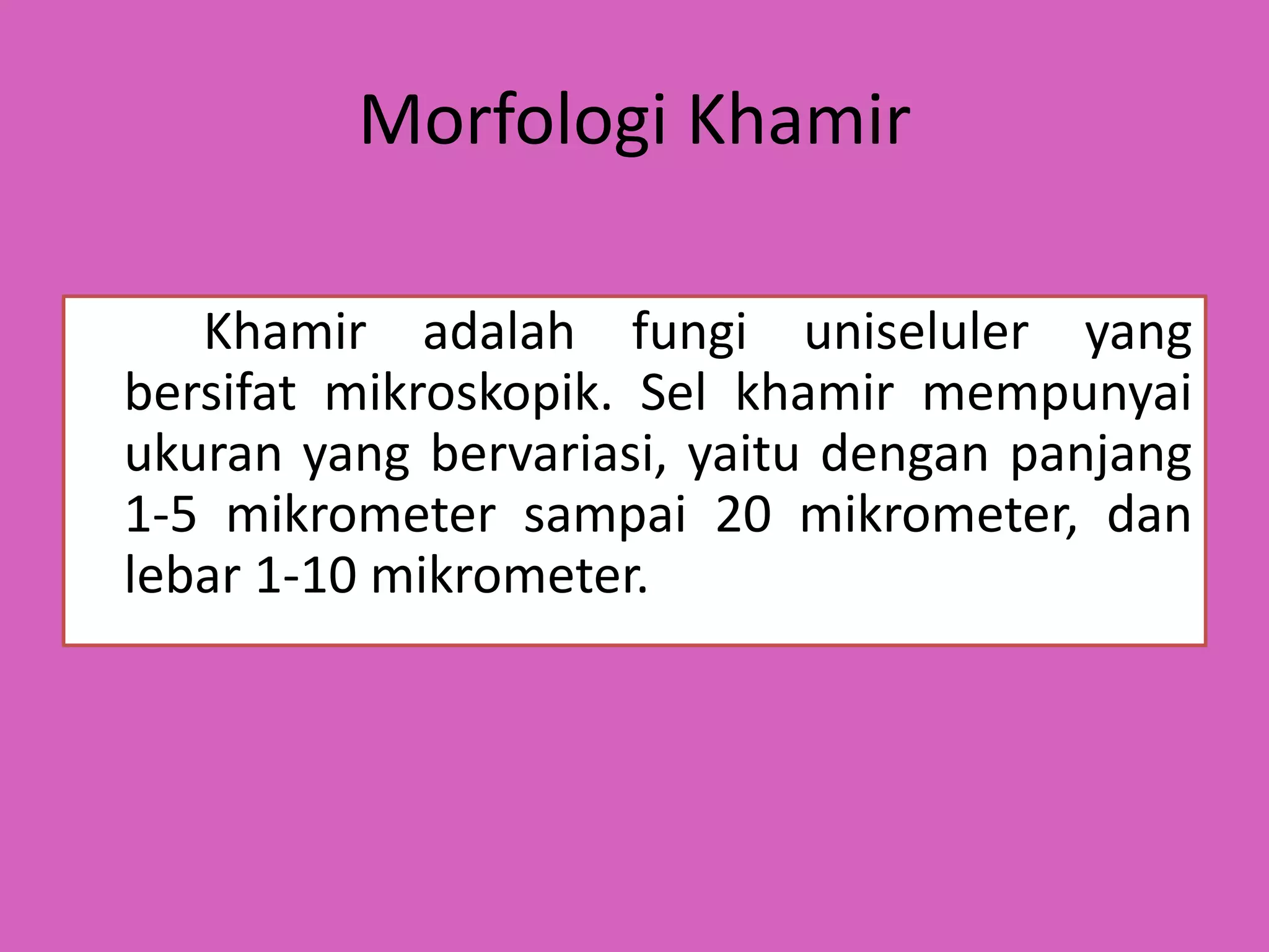 Biokimia khamir awari susanti | PPTX