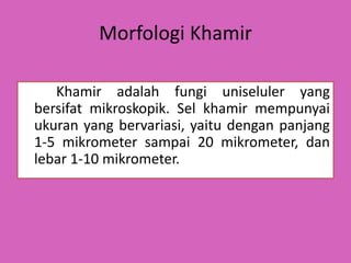 Biokimia khamir awari susanti | PPTX
