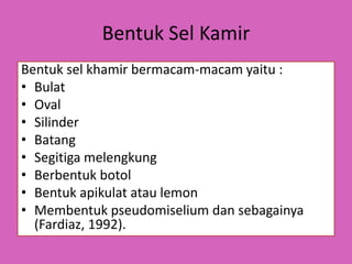 Biokimia khamir awari susanti | PPTX