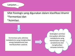 Biokimia khamir awari susanti | PPTX