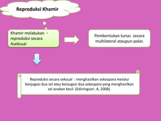 Biokimia khamir awari susanti | PPTX