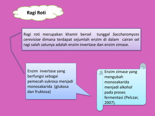 Biokimia khamir awari susanti | PPTX