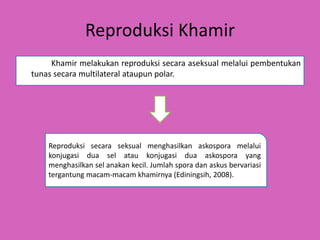 Biokimia khamir awari susanti | PPTX