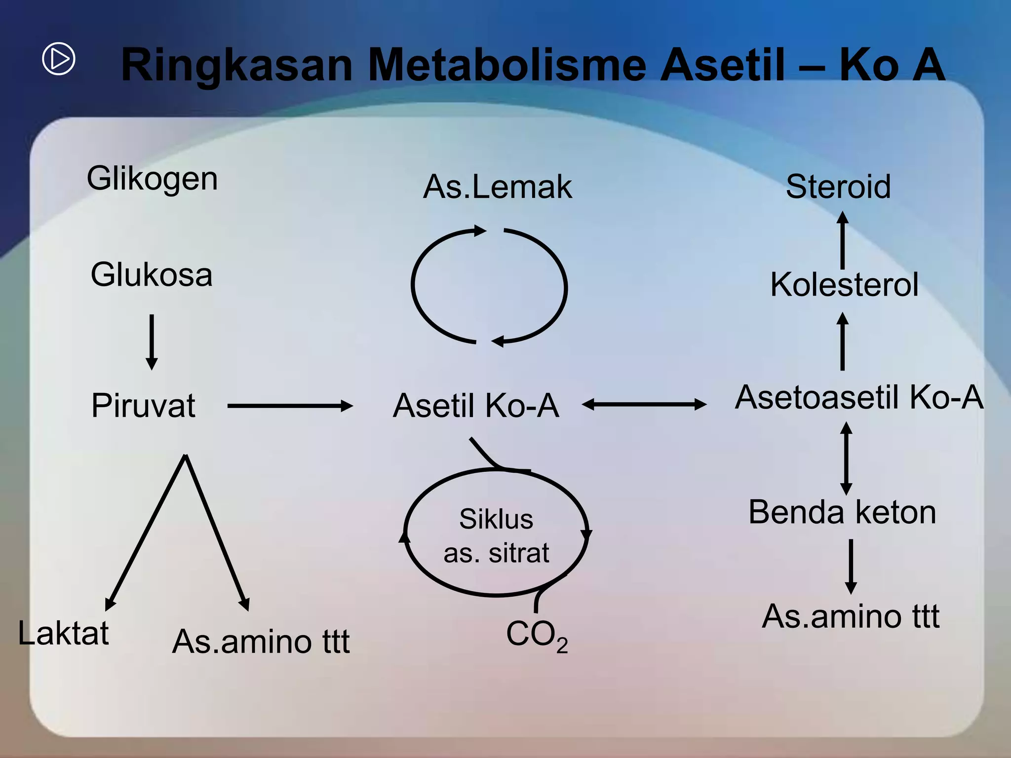 Biokimia_Metabolisme_Karbohidrat.ppt