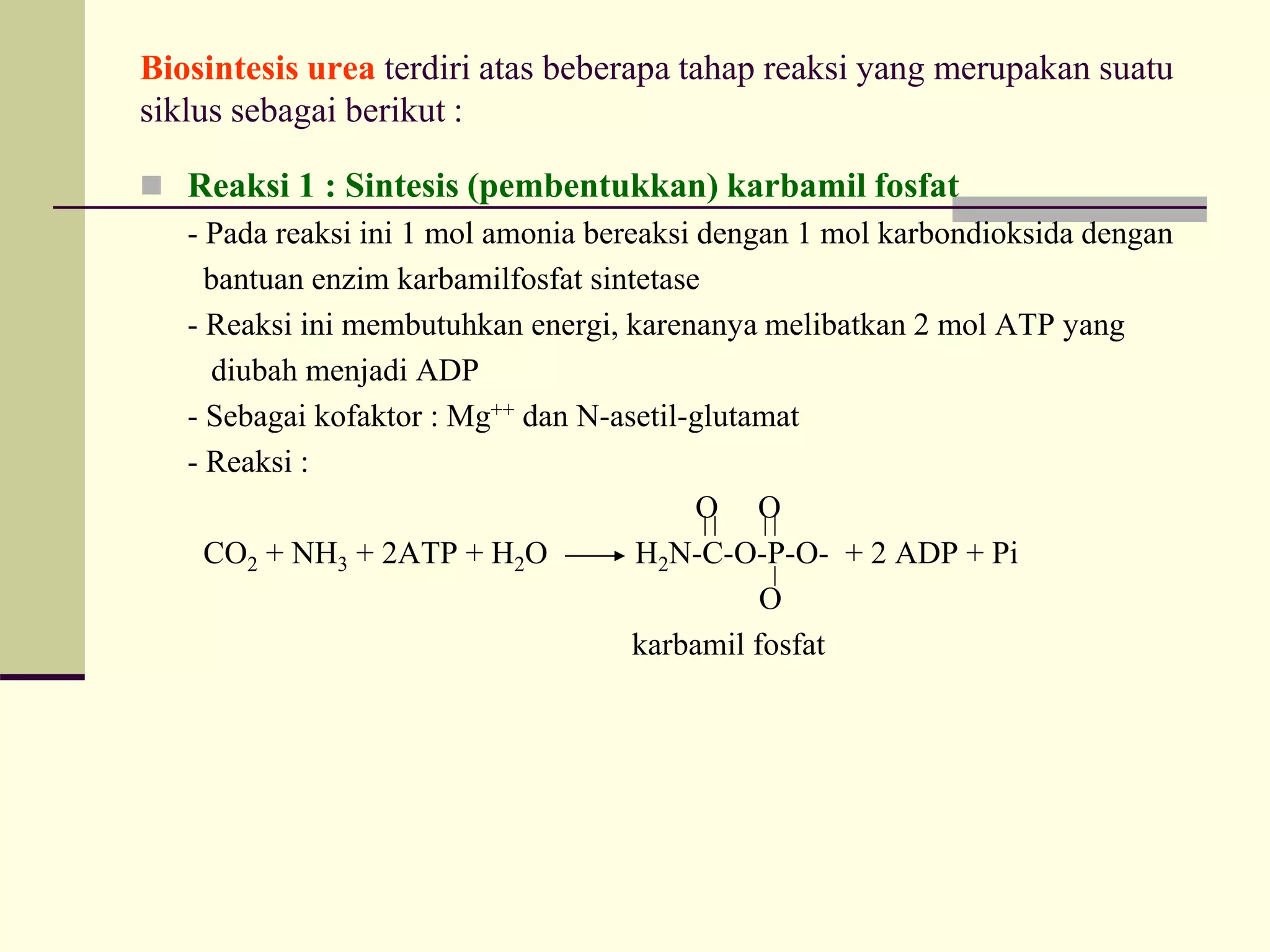 Biokimia_Metabolisme_Protein_2.ppt