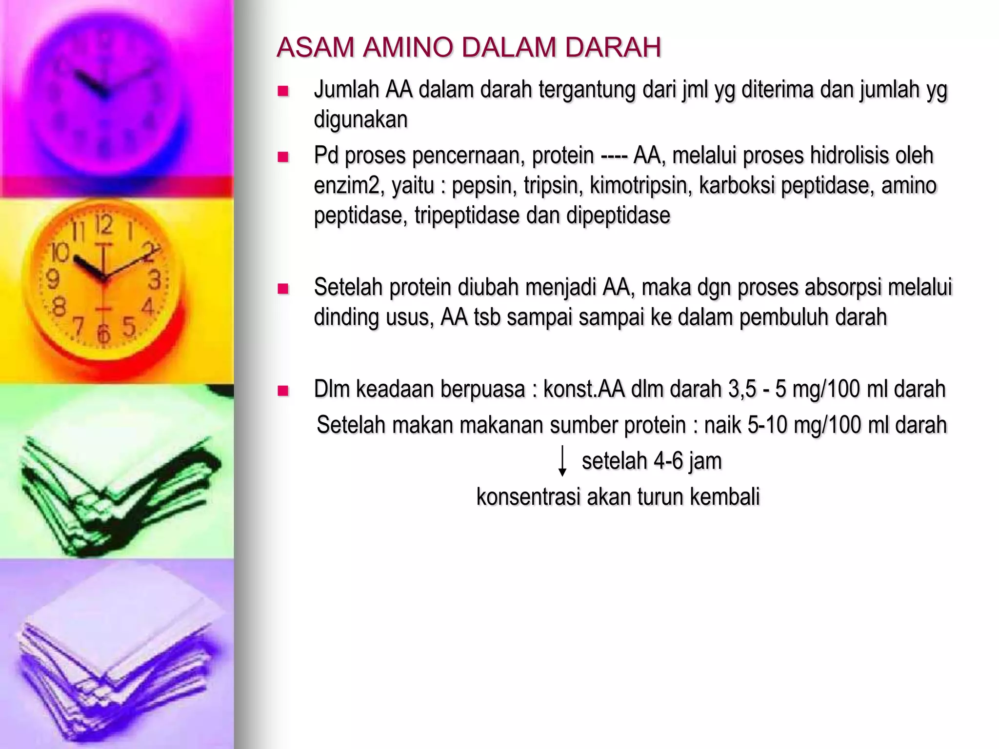 Biokimia_Metabolisme_Protein_2.ppt