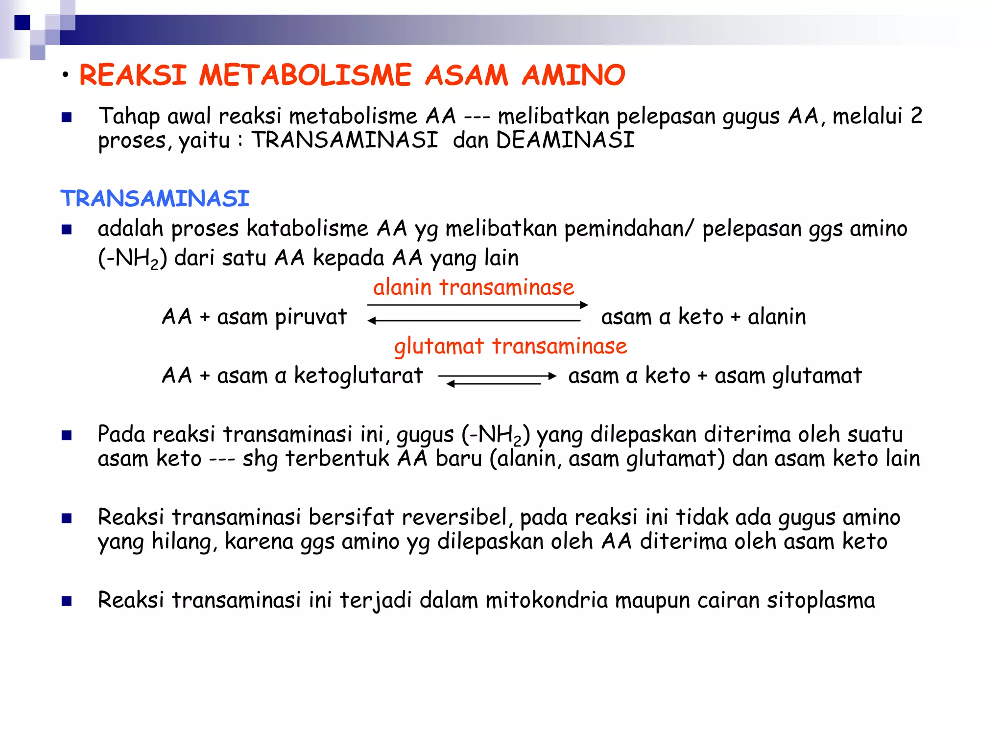 Biokimia_Metabolisme_Protein_2.ppt