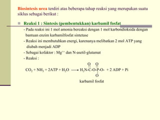 Biokimia_Metabolisme_Protein_2.ppt