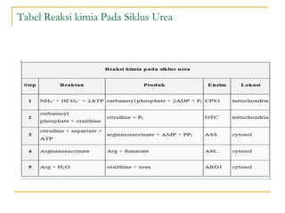 Biokimia_Metabolisme_Protein_2.ppt
