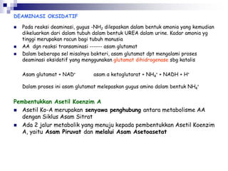 Biokimia_Metabolisme_Protein_2.ppt