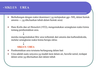 Biokimia_Metabolisme_Protein_2.ppt