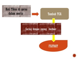 MATA KULIAH BIOKIMIA P4 TAHUN AJARAN 2019.pptx