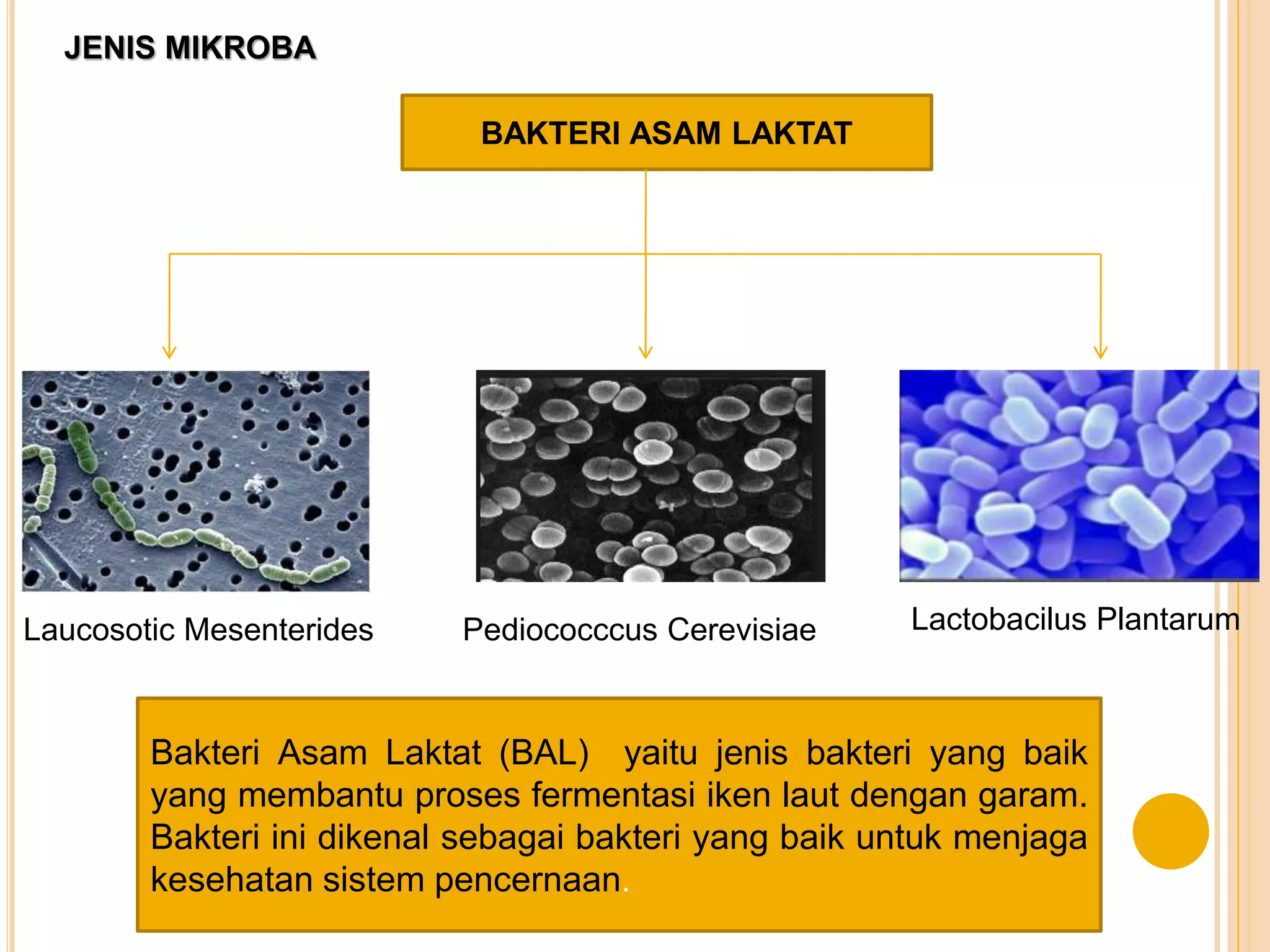 Biokimia pangan lanjut (kecap ikan) | PPTX