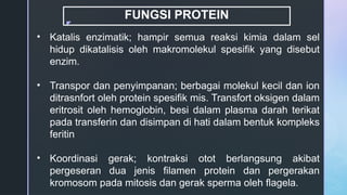 BIOKIMIA PERTEMUAN 3.pptxxxxxxxxxxxxxxxxxxxxxxxxxxxxx | PPTX