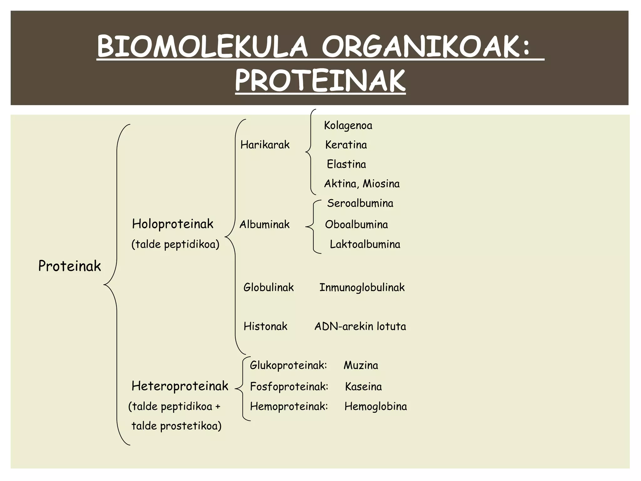 Biokimika 1º | PPT