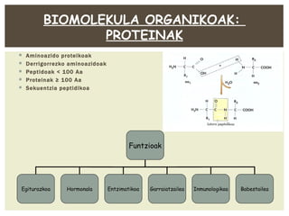 Biokimika 1º | PPT