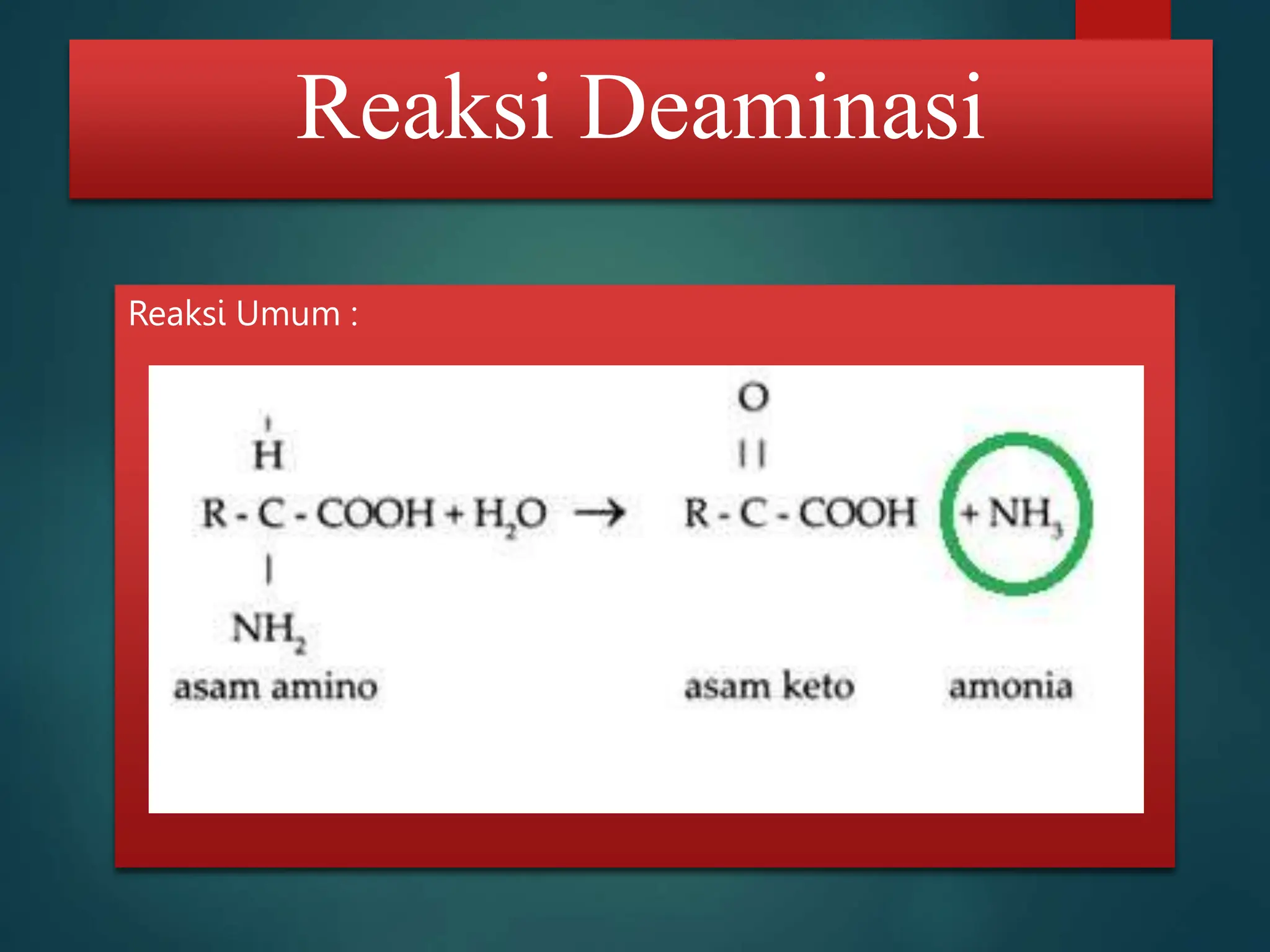 powerpoint biokimia kelompok 8 asam amino dan protein | PPTX