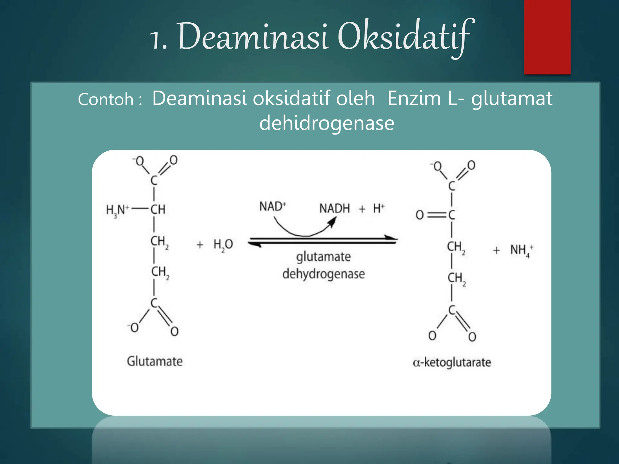 powerpoint biokimia kelompok 8 asam amino dan protein | PPTX
