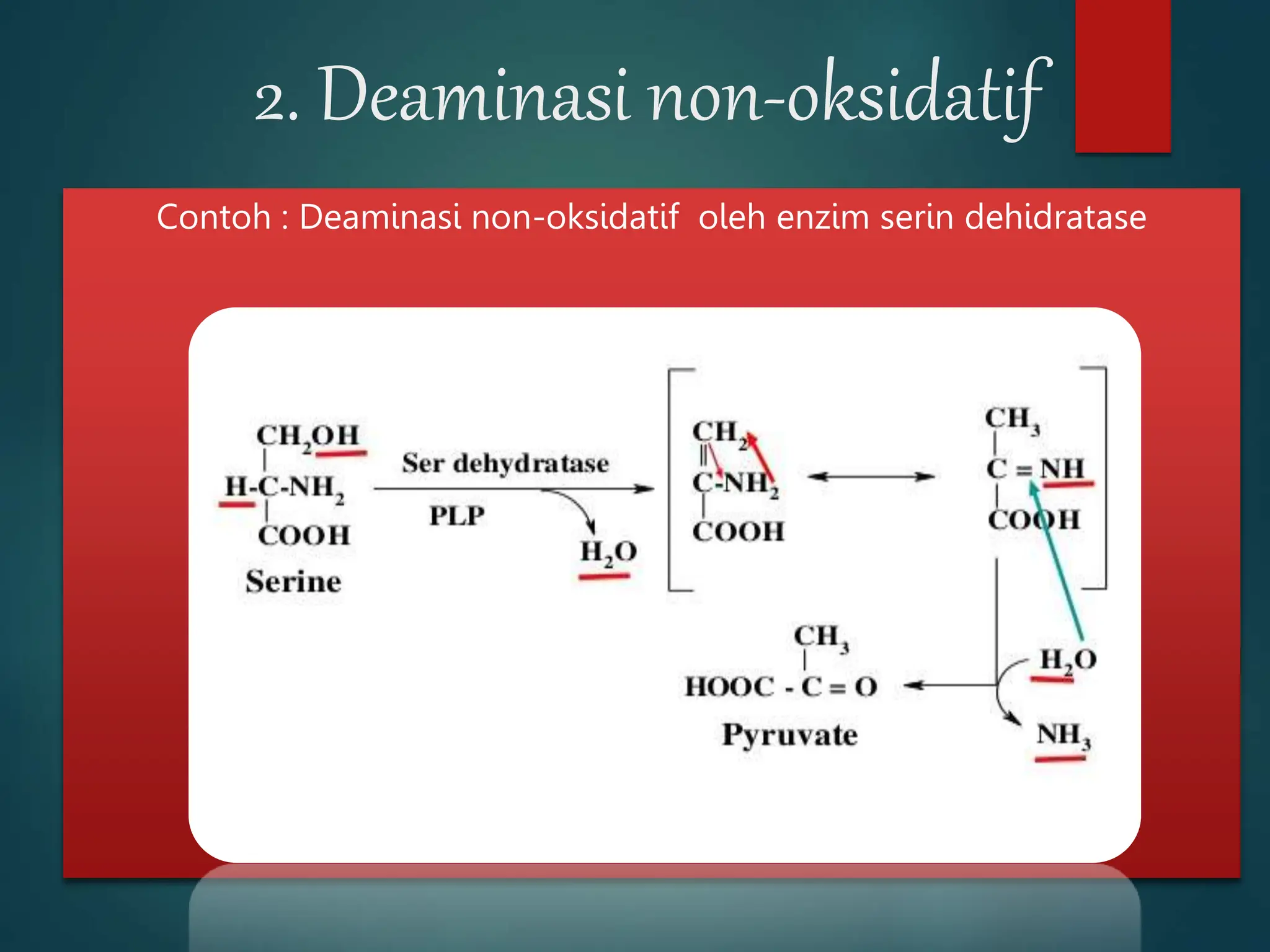 powerpoint biokimia kelompok 8 asam amino dan protein | PPTX