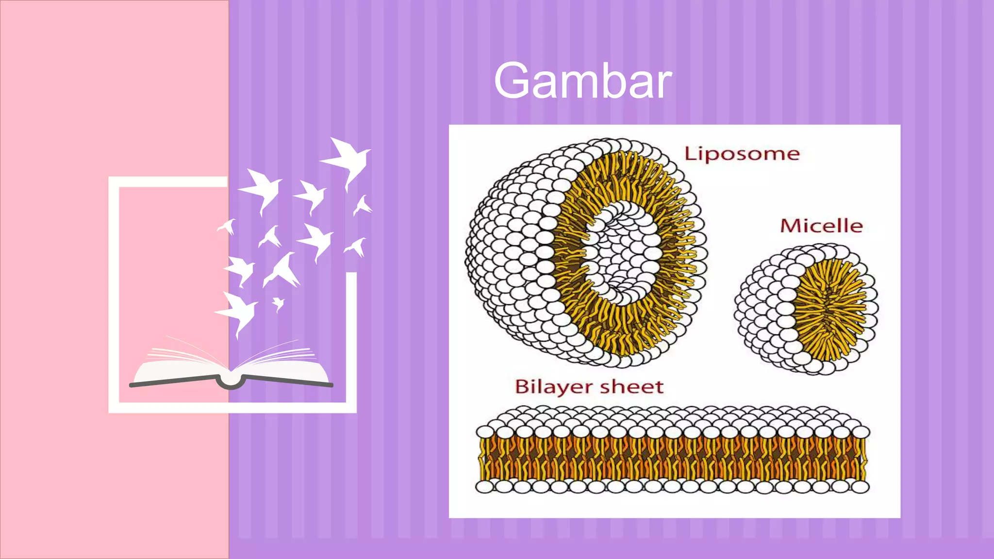 biokim ppt biomembran.pptx