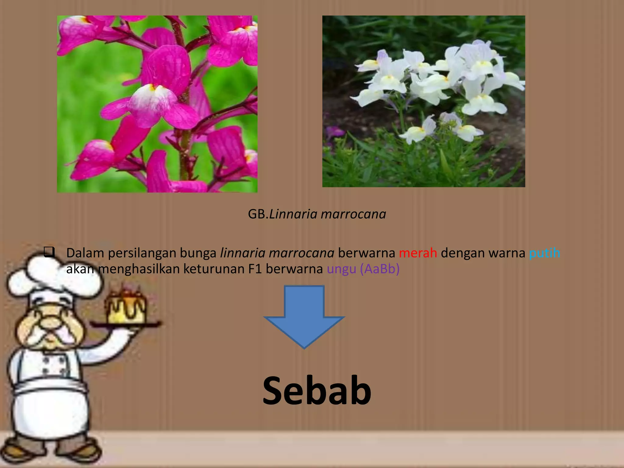 Biokriptomeri | PPTX