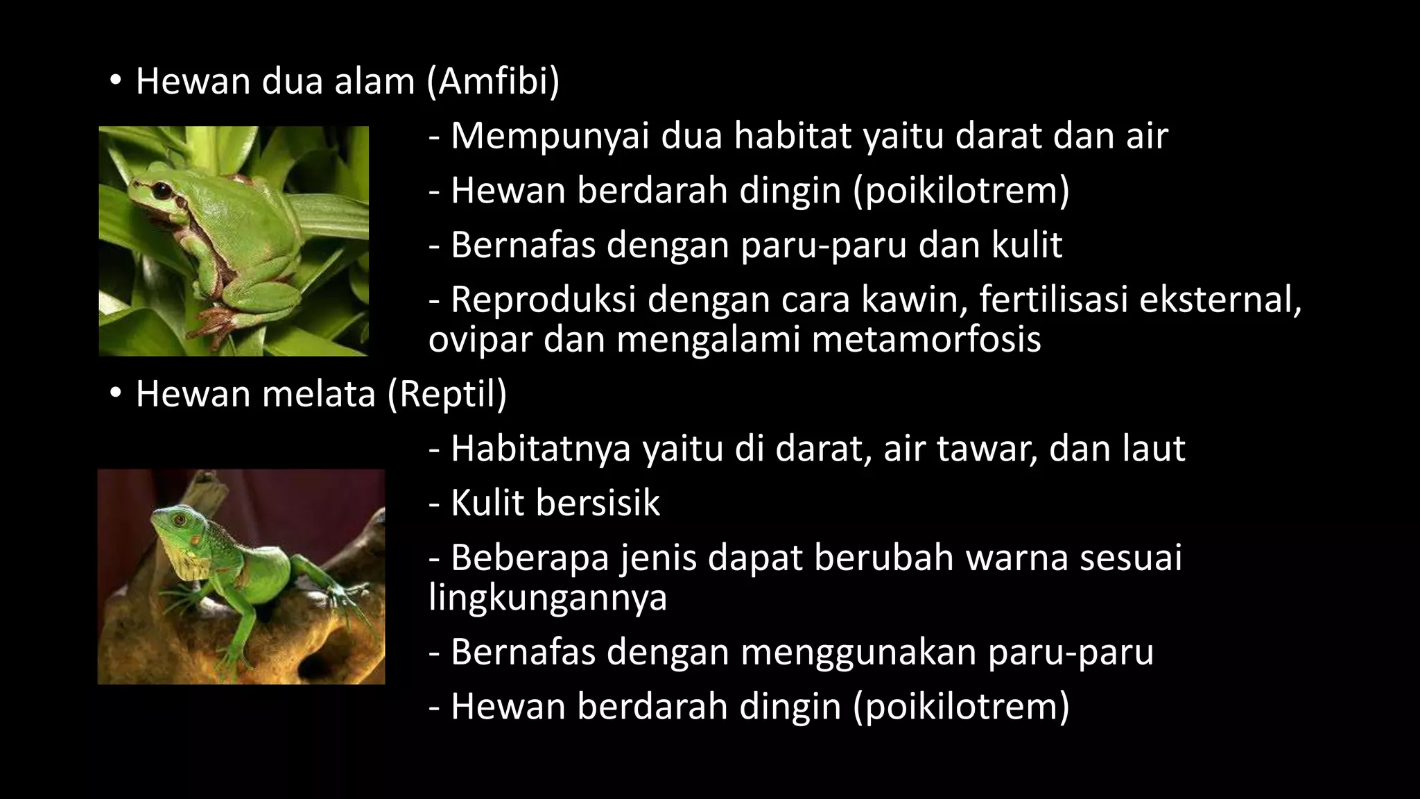 BIOLOGI - KLASIFIKASI HEWAN | PPT