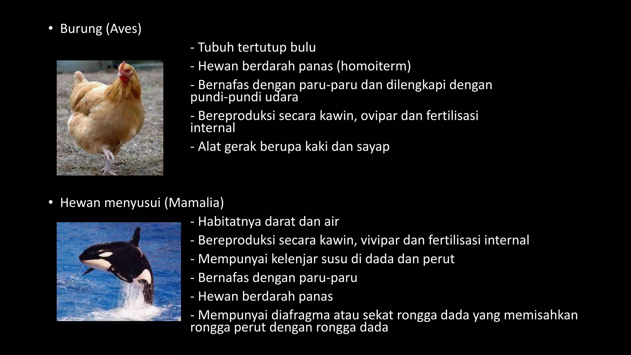 BIOLOGI - KLASIFIKASI HEWAN | PPT