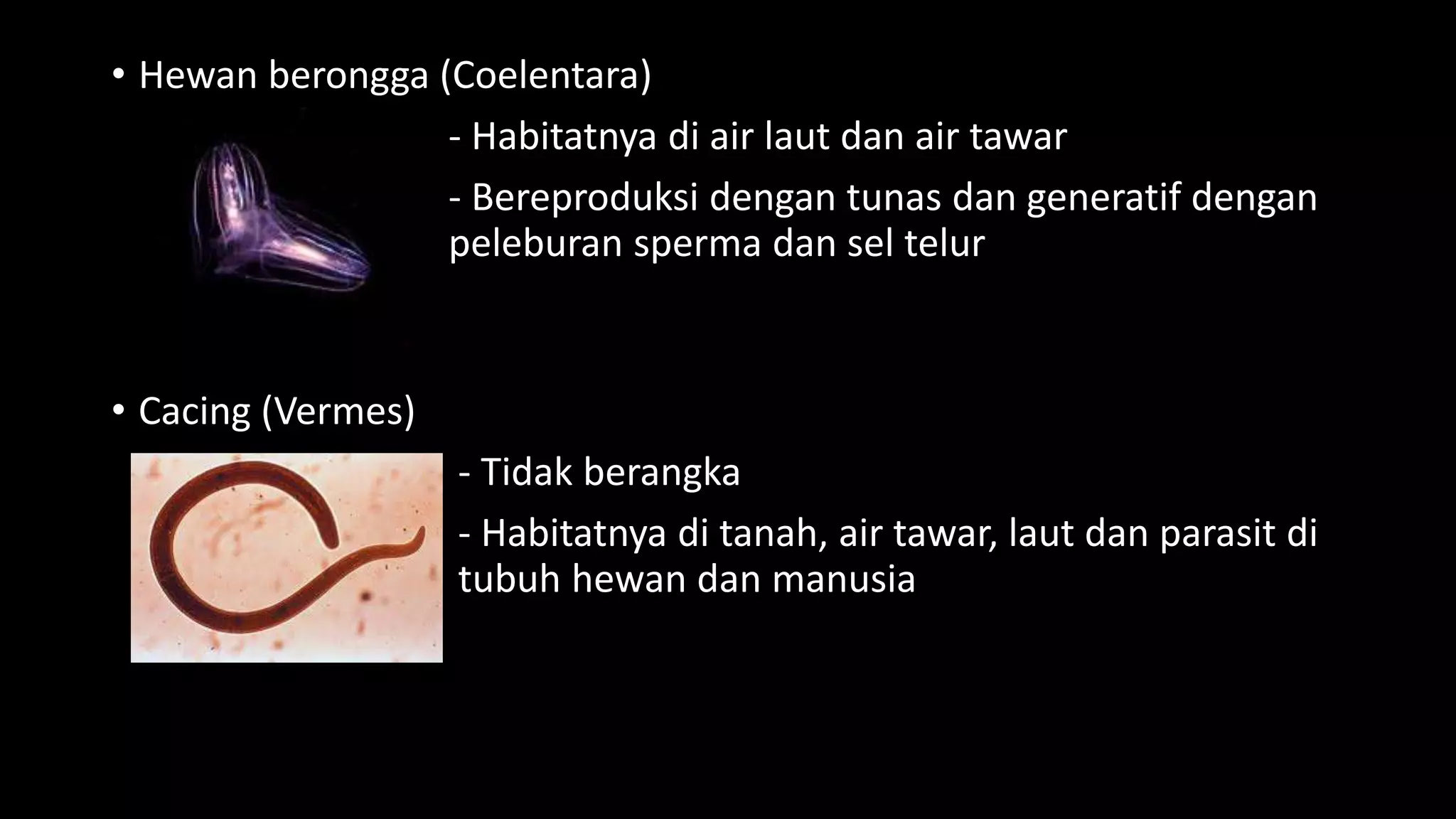 BIOLOGI - KLASIFIKASI HEWAN | PPT
