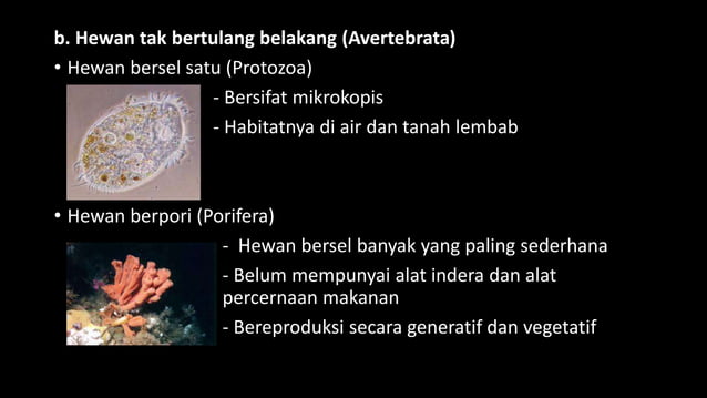 BIOLOGI - KLASIFIKASI HEWAN | PPT