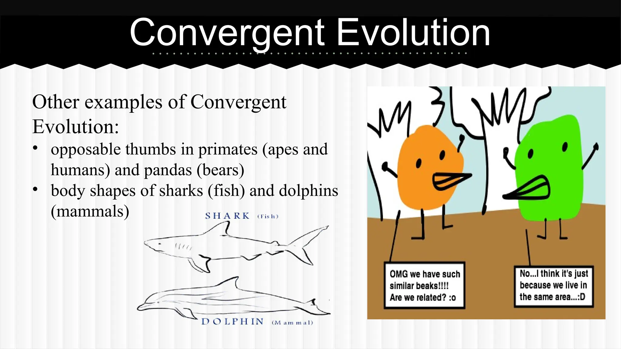Biol - Unit 9 (Taxonomy) Biology (Classification of living thing ...