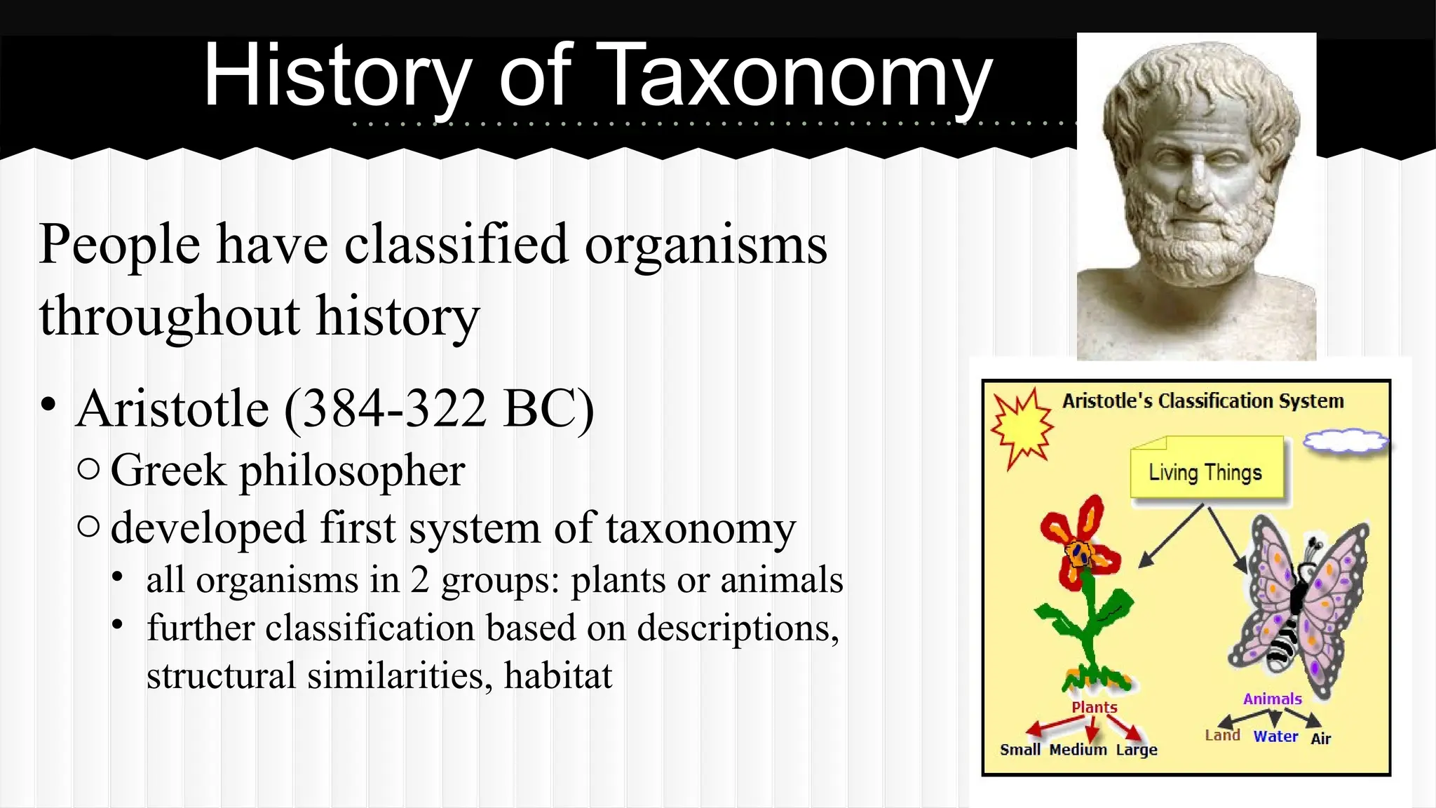 Biol - Unit 9 (Taxonomy) Biology (Classification of living thing ...
