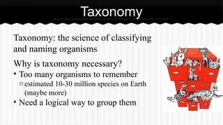 Biol - Unit 9 (Taxonomy) Biology (Classification of living thing ...