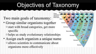 Biol - Unit 9 (Taxonomy) Biology (Classification of living thing ...