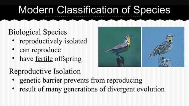 Biol - Unit 9 (Taxonomy) Biology (Classification of living thing ...