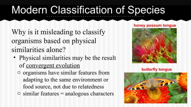 Biol - Unit 9 (Taxonomy) Biology (Classification of living thing ...